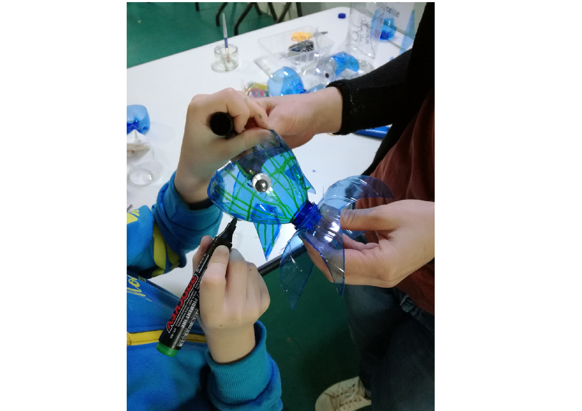 Escapades nature : "Brico-poisson"